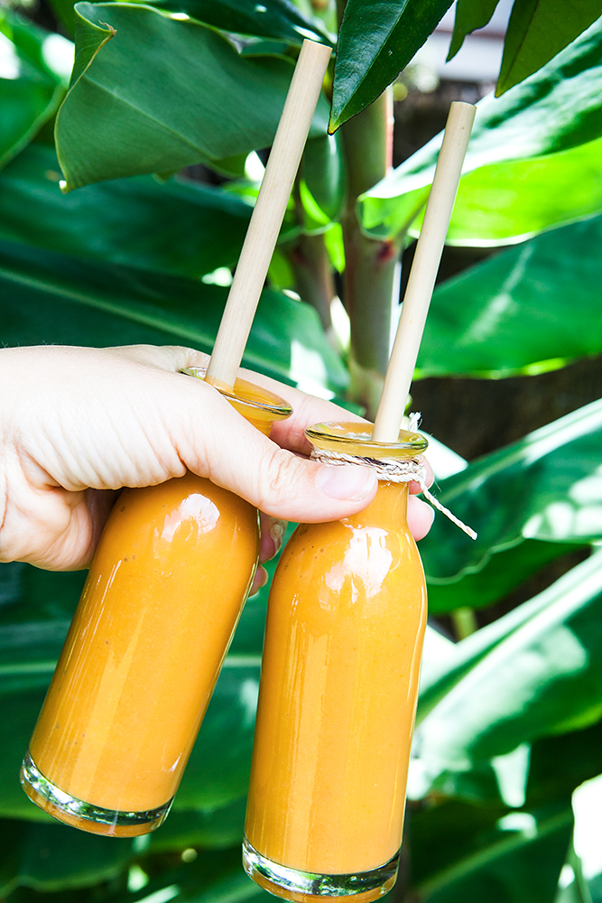Apricot Macadamia Smoothie – Crazy Cucumber
