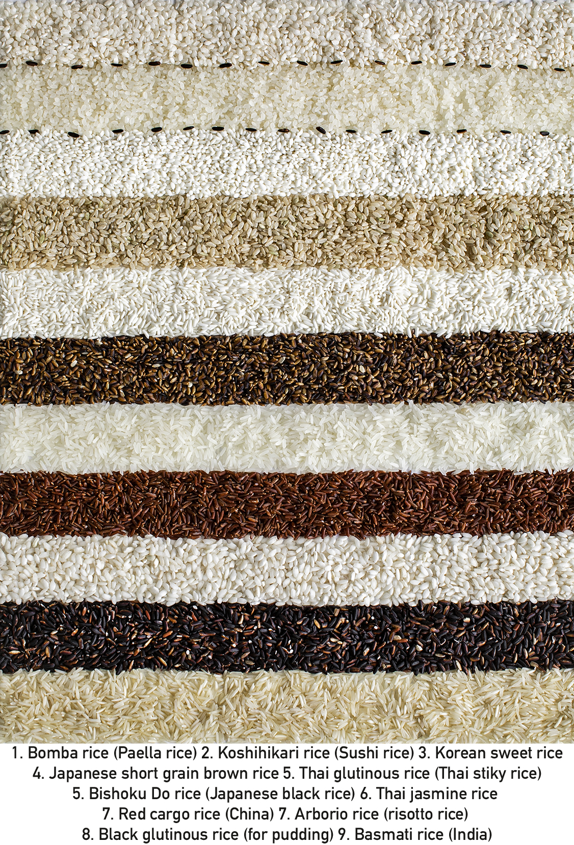Rice Paradise. Same but different: Something interesting what you ...
